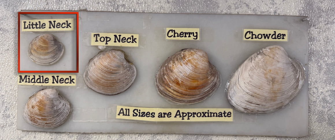 Captree Clam Seafood Co.
